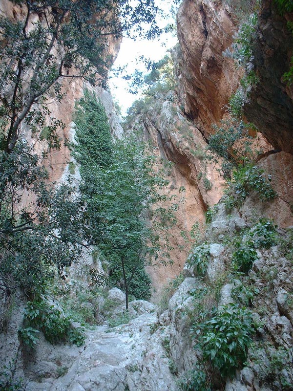 Monte Parnaso - Guía Blog Grecia